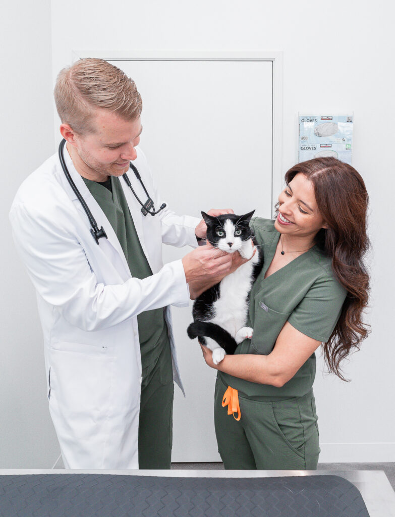 Veterinary Services - Homec Veterinary Care