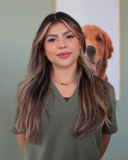 Meet the Care Team - Homec Veterinary Care